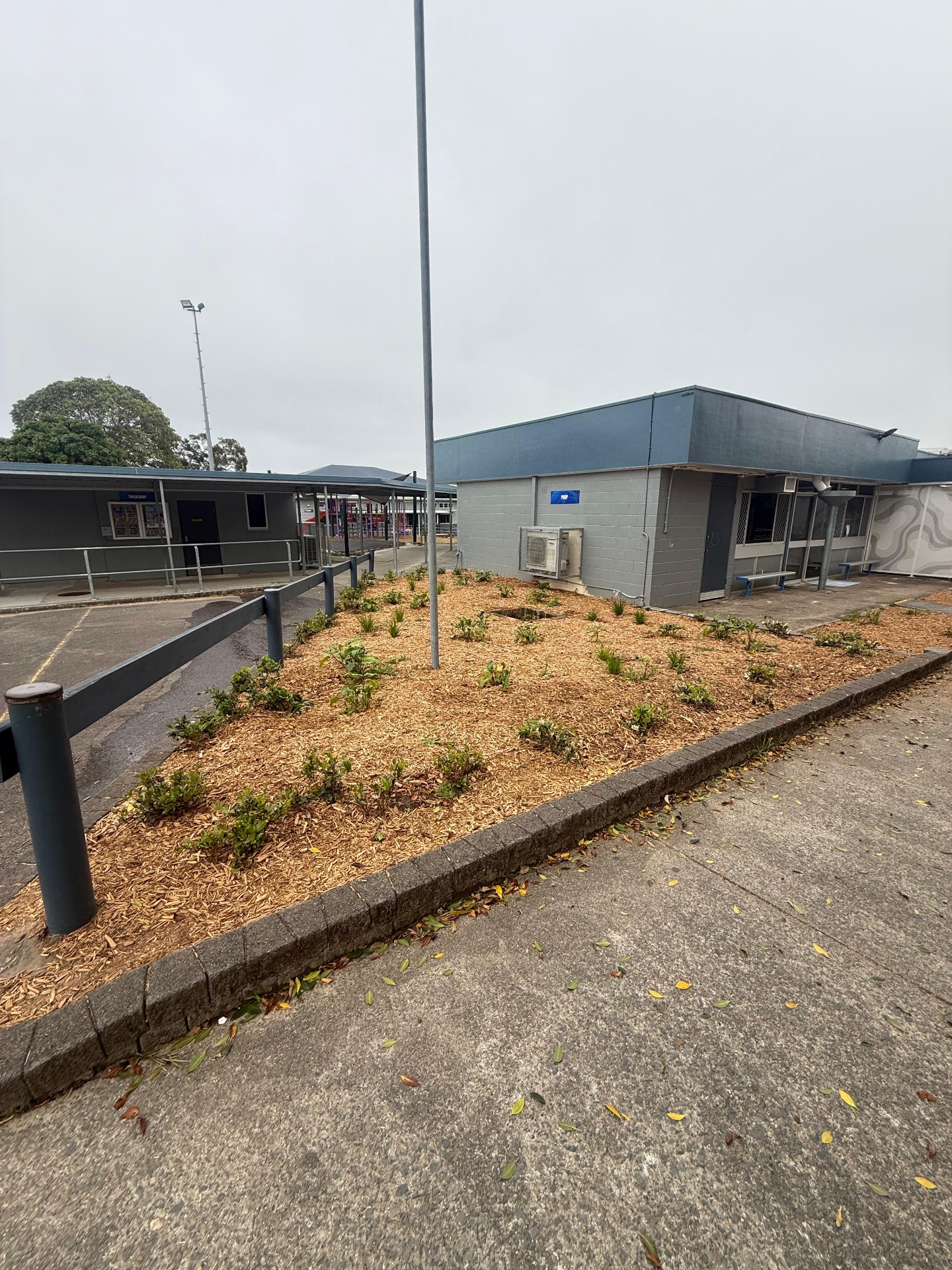 MO & Co Landscapes | Brisbane Landscape Design & Construction